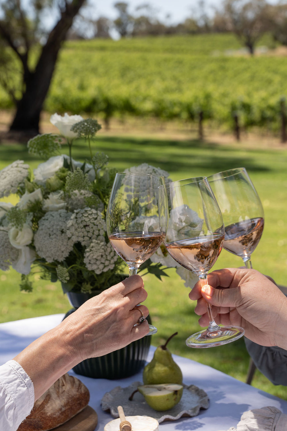 Our Story | Blending Hertige and Innovation | Land of Tomorrow Wine